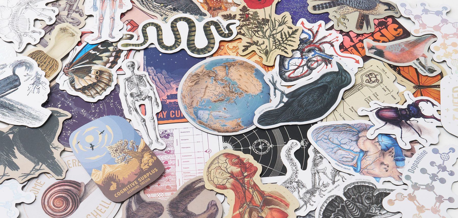 Magnets – Cognitive Surplus