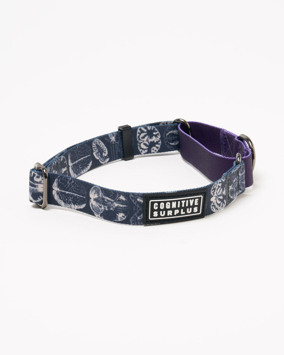 Brain Eco Martingale Collar – Cognitive Surplus