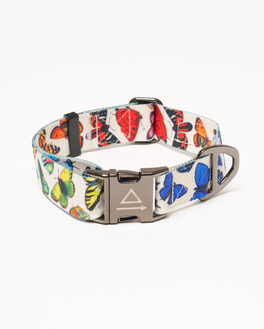 Butterfly Garden Eco Pet Collar – Cognitive Surplus