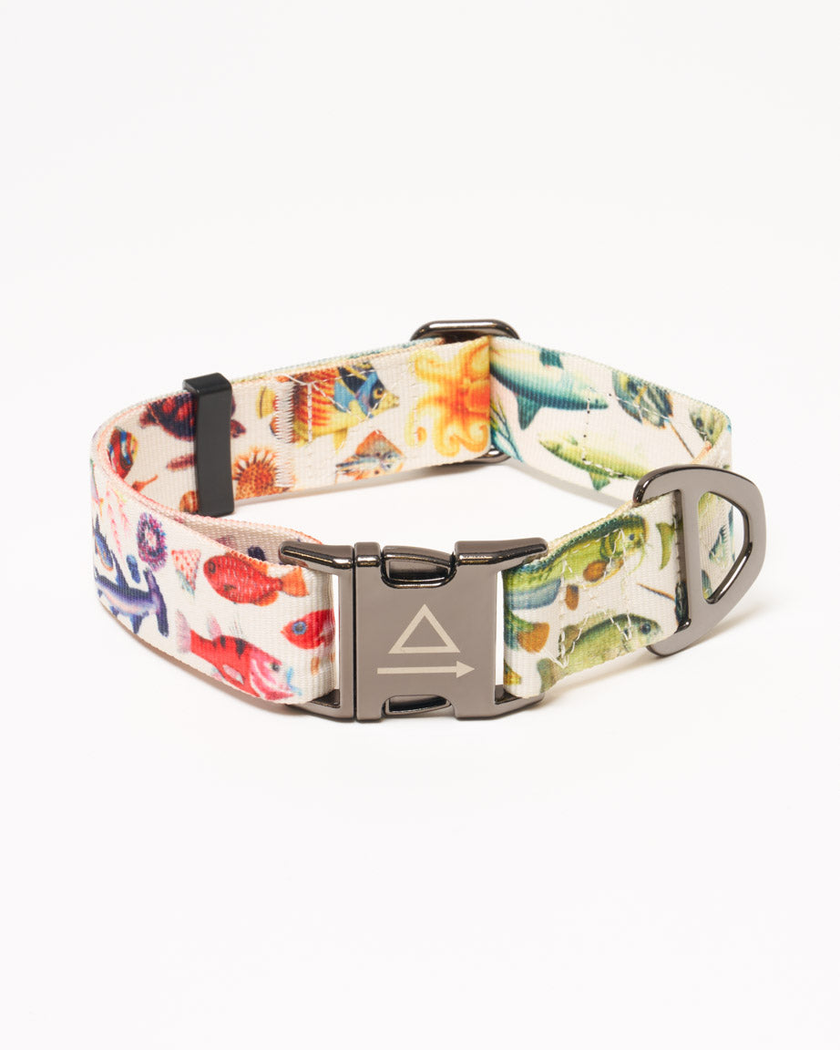 Ocean Science Eco Pet Collar – Cognitive Surplus
