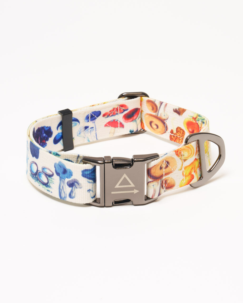 Mushrooms Eco Pet Collar – Cognitive Surplus