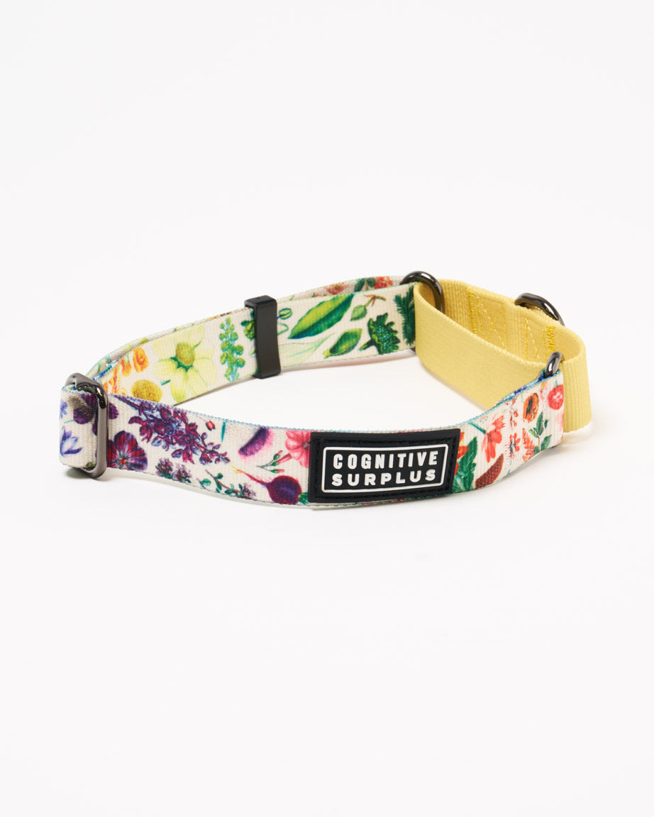 Botany Eco Martingale Collar – Cognitive Surplus