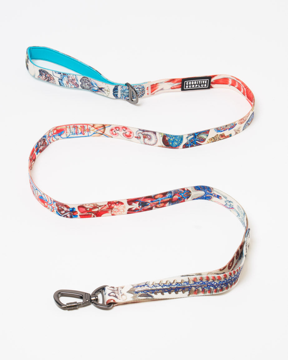Anatomy Eco Pet Leash – Cognitive Surplus