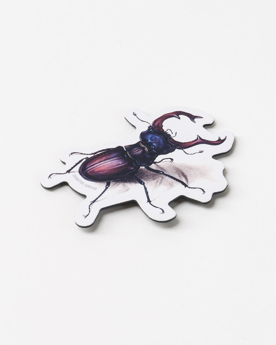 Beetle Magnet – Cognitive Surplus