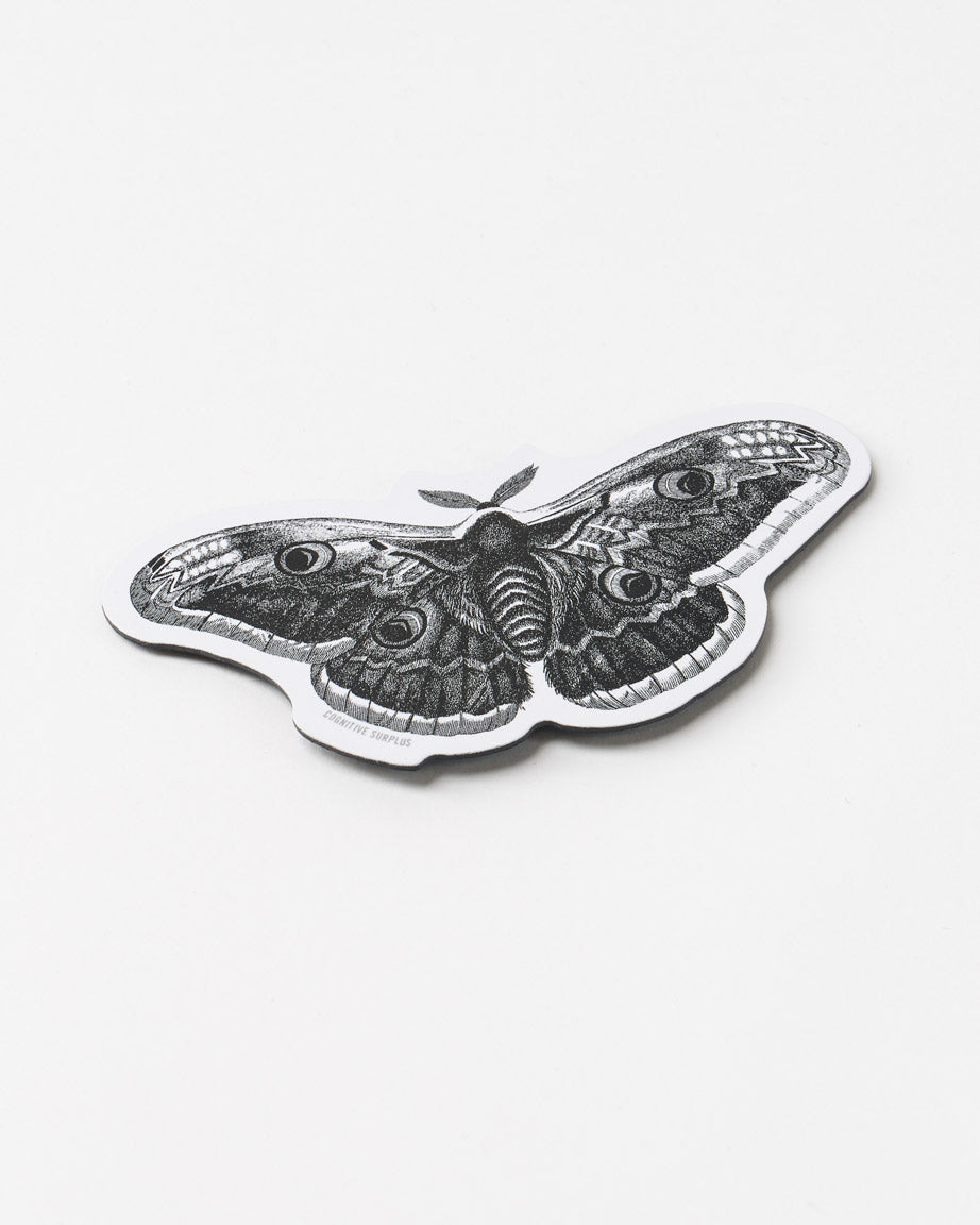 Moth Magnet – Cognitive Surplus