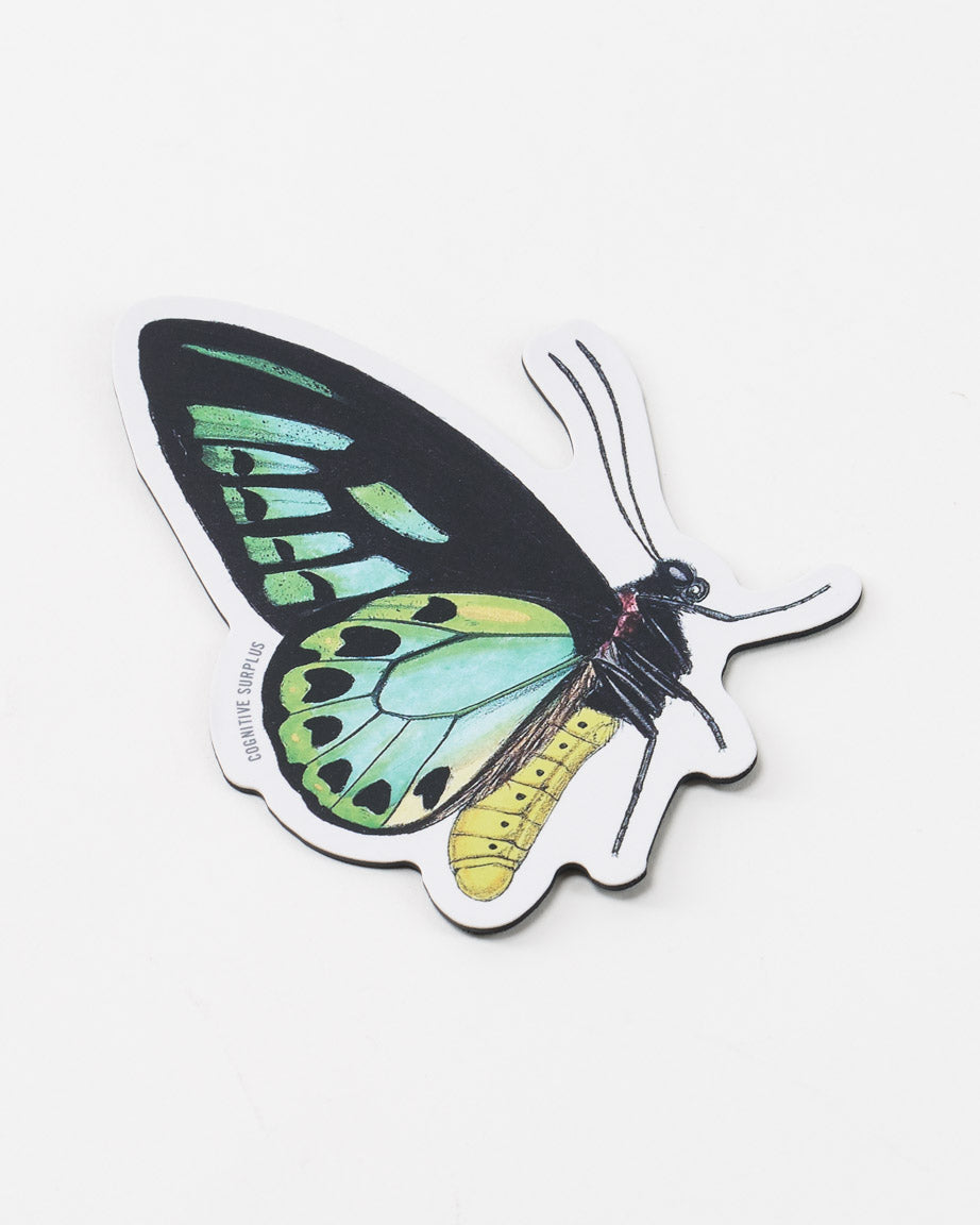 Papilio Butterfly Magnet – Cognitive Surplus