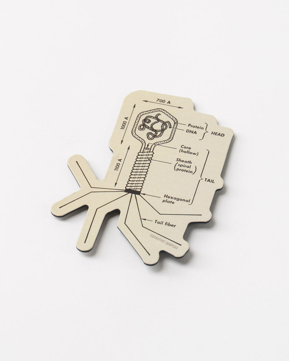 Bacteriophage Magnet – Cognitive Surplus