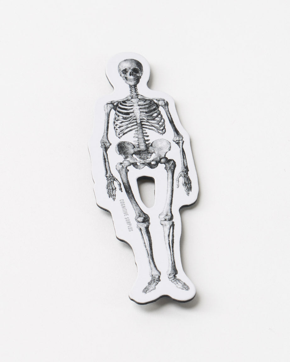 Skeleton Magnet – Cognitive Surplus