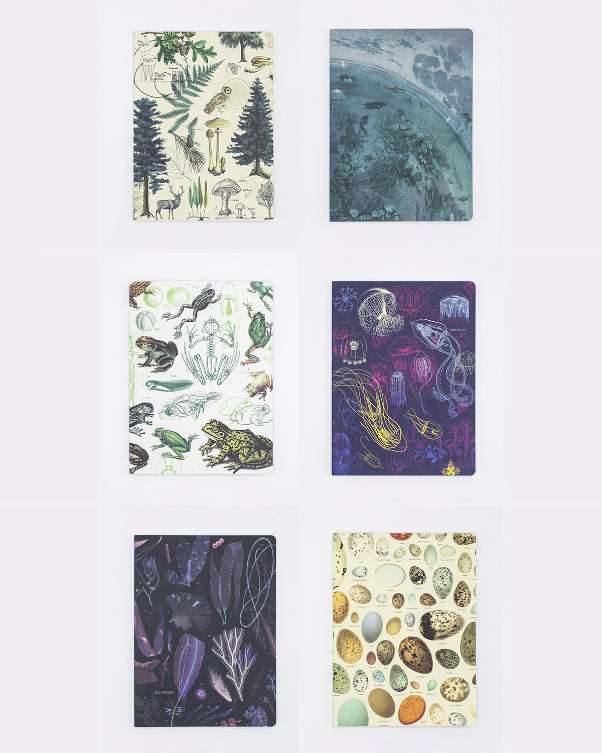 The Biologist 6-Pack – Cognitive Surplus