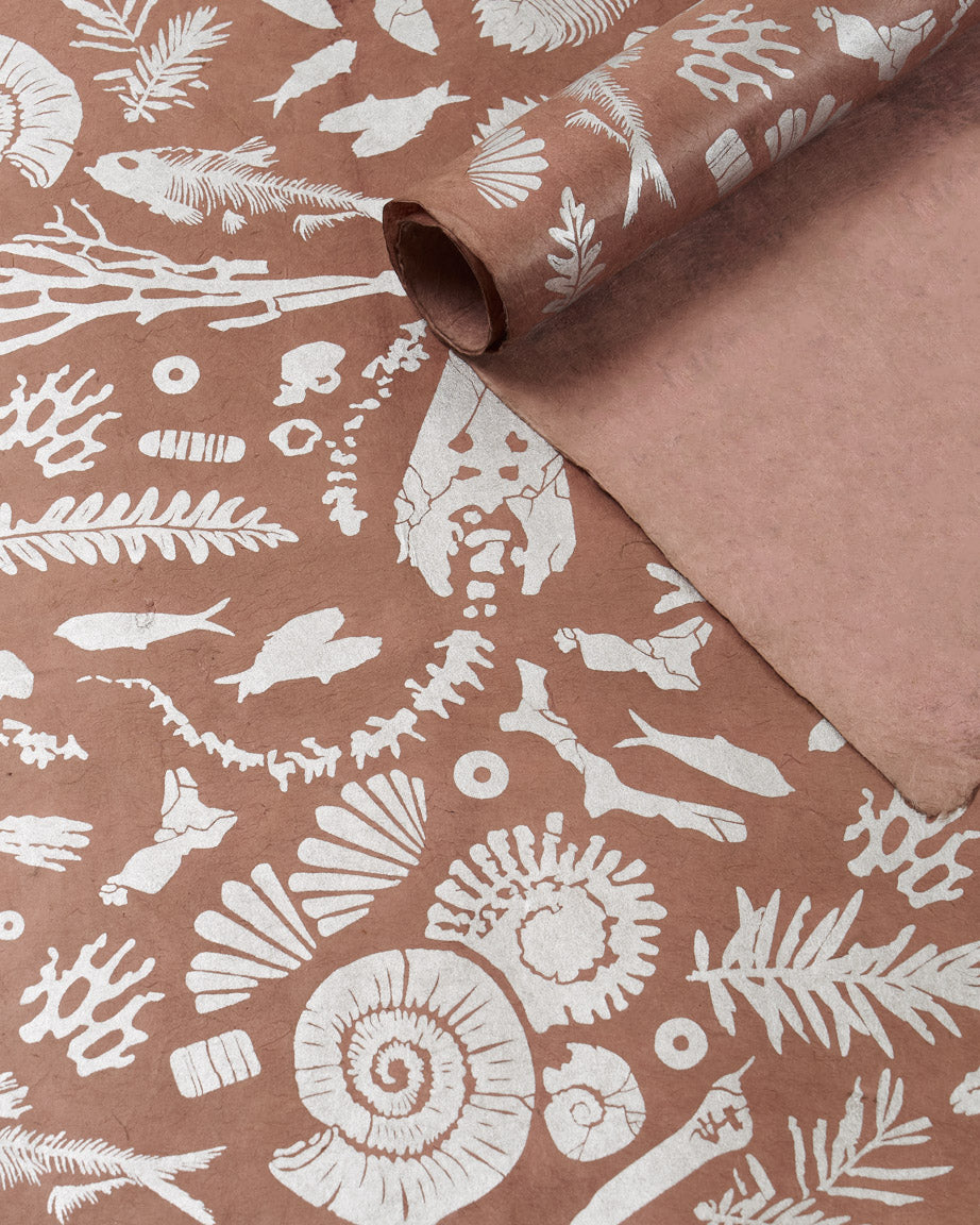 Fossils Wrapping Paper – Cognitive Surplus