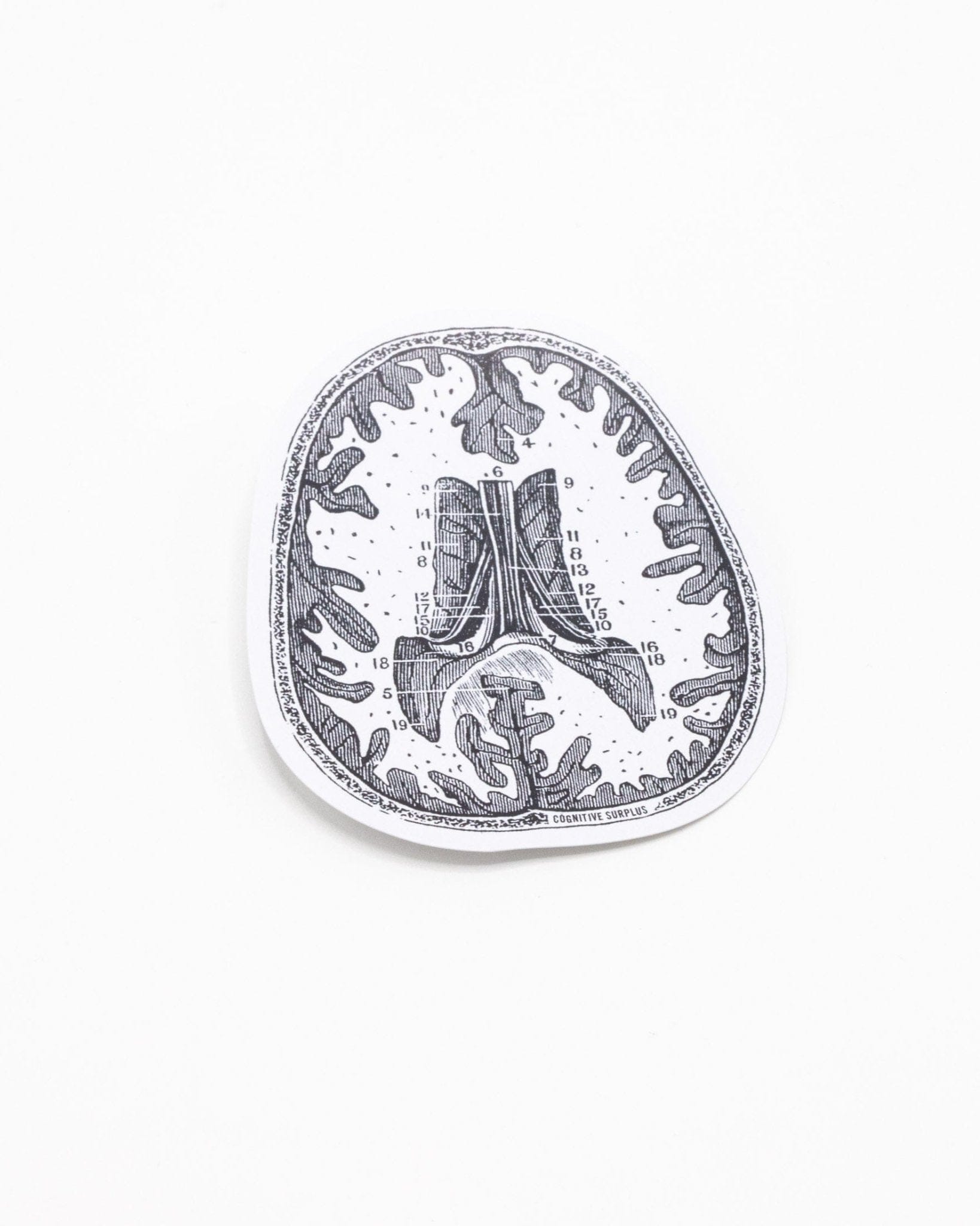 Brain Scan Sticker – Cognitive Surplus