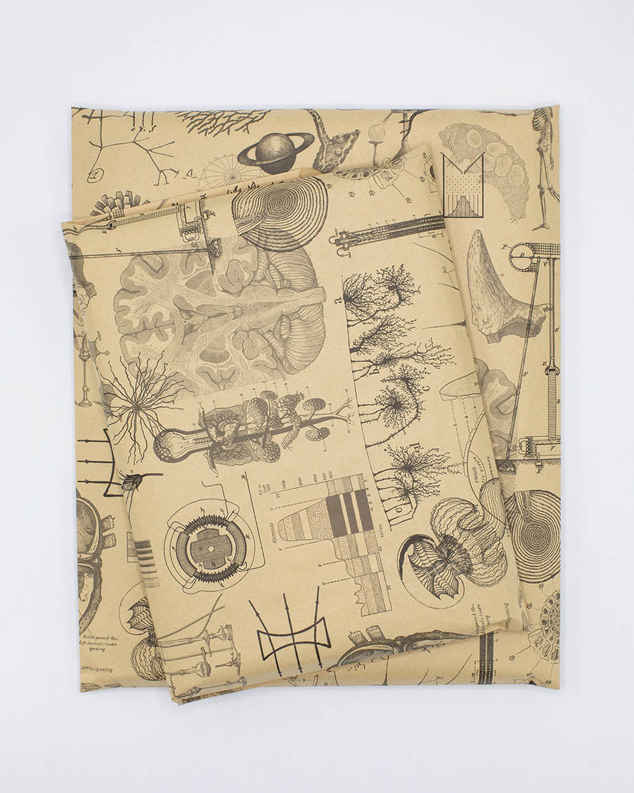 Gift Wrap – Cognitive Surplus