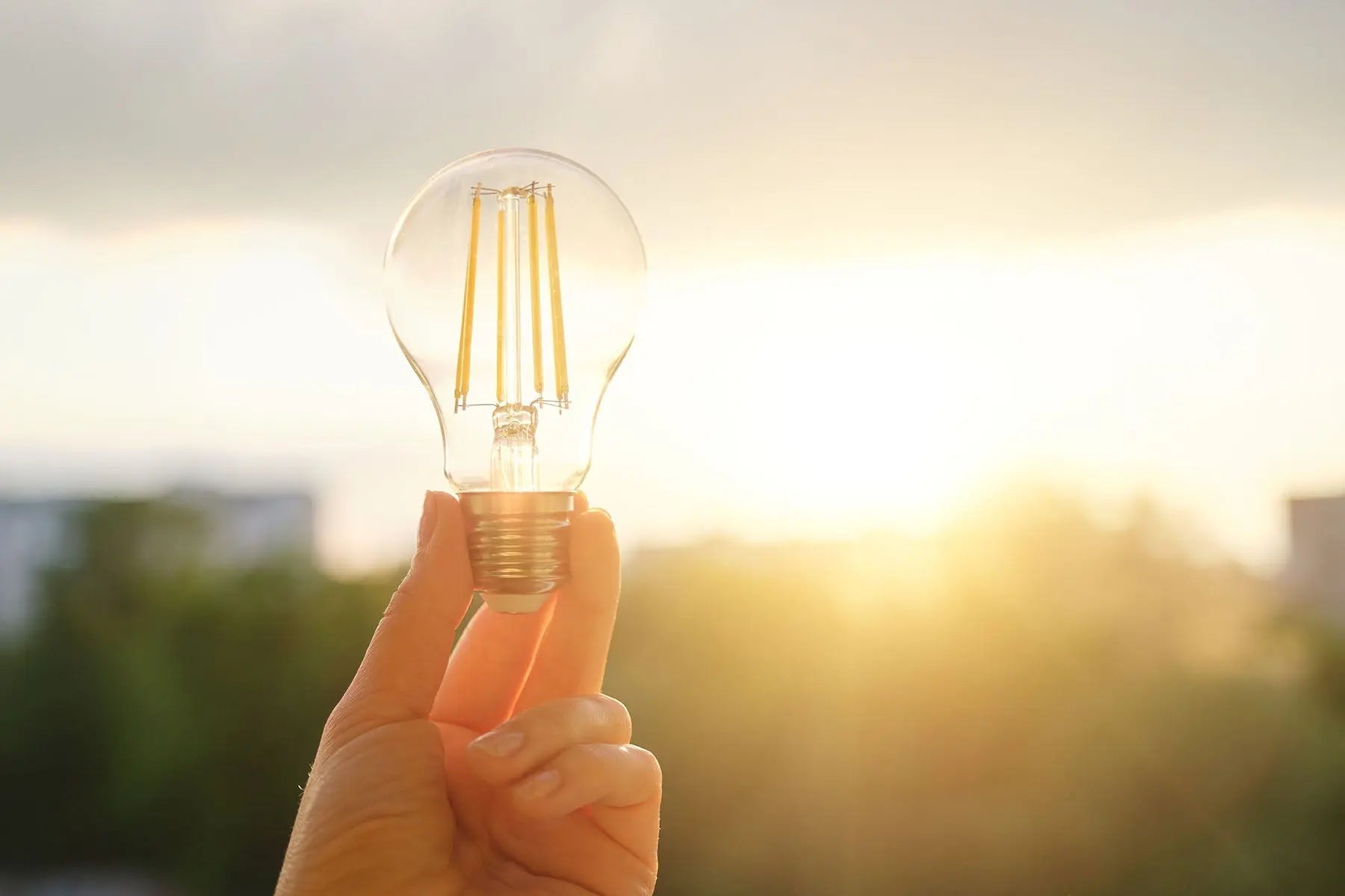 Light Bulb Surplus