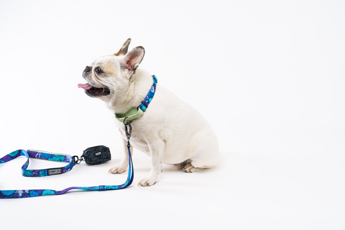 Pet Waste Bag Holders – Cognitive Surplus