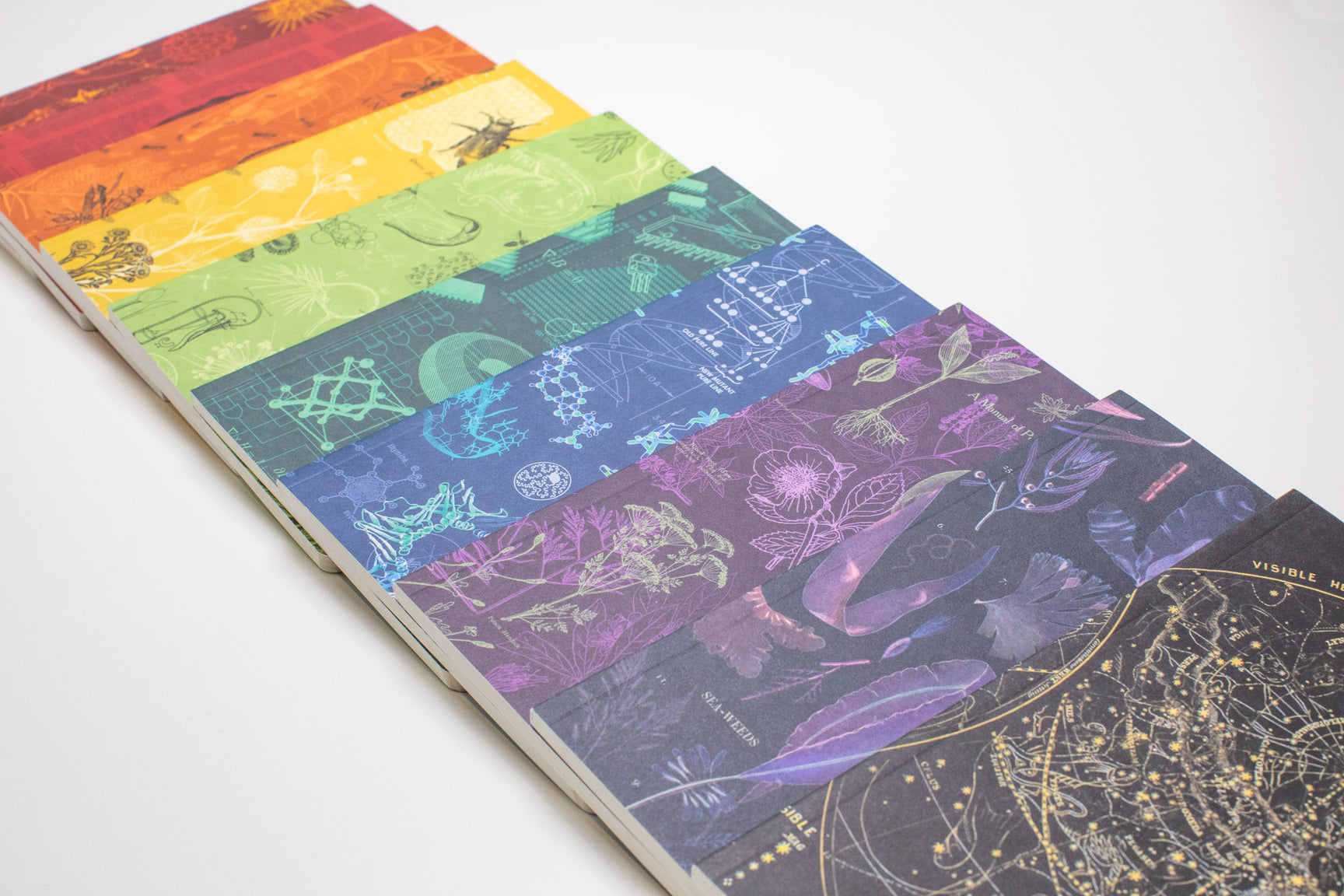 Science Notebooks & Sketchbooks | Cognitive Surplus