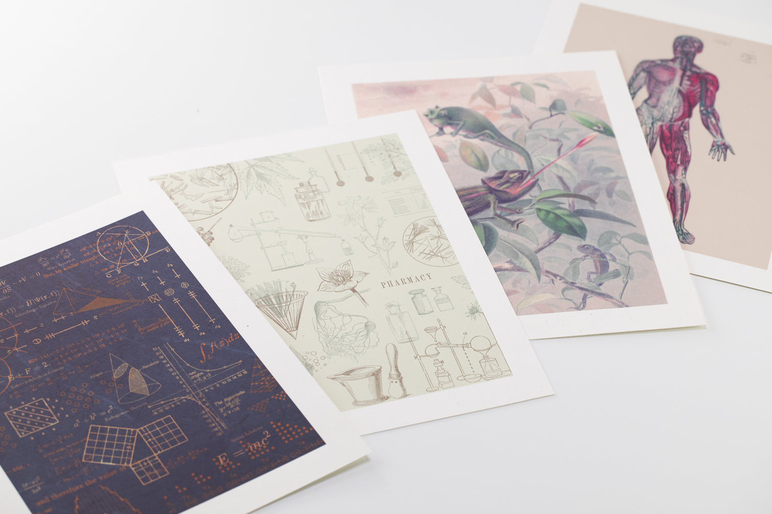 Collections – Cognitive Surplus