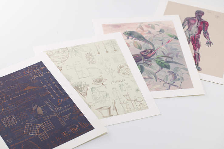 Collections – Cognitive Surplus