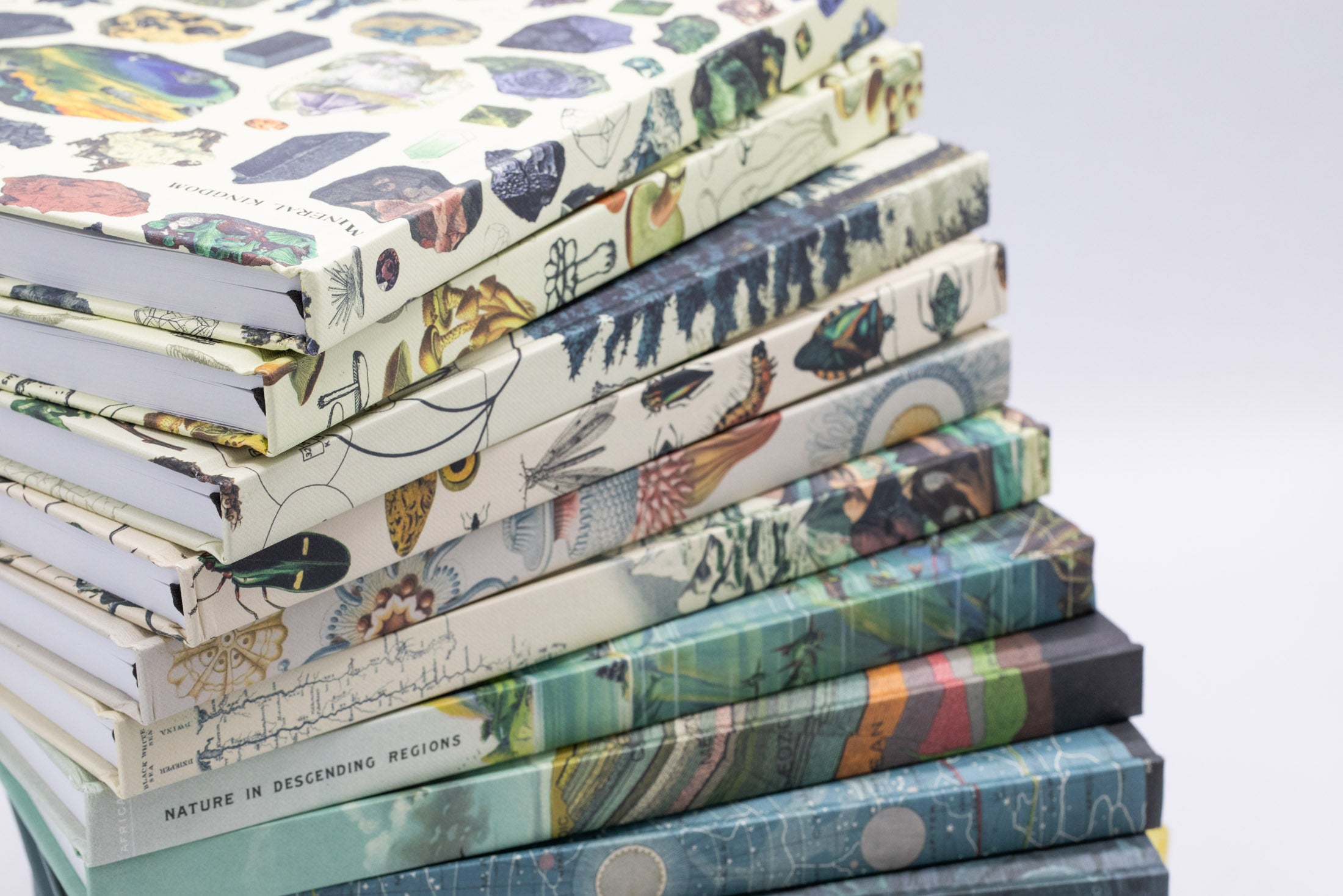 Archaeology Notebook - Hardcover | Dot Grid Journal – Cognitive Surplus