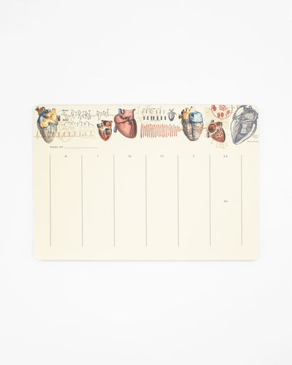 Heart Anatomy Notepads - Vintage Medicine Pad | Cognitive Surplus