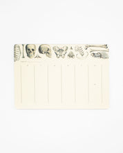 Skeleton Notepads - Vintage Medicine Pad | Cognitive Surplus