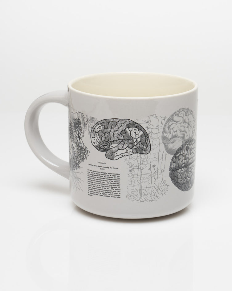 Brain Anatomy Mug - Medical Mug | Cognitive Surplus