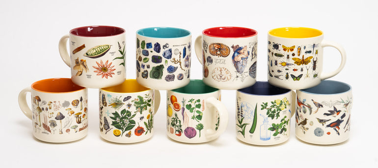 Cognitive Surplus | Science Meets Design – High quality science gifts