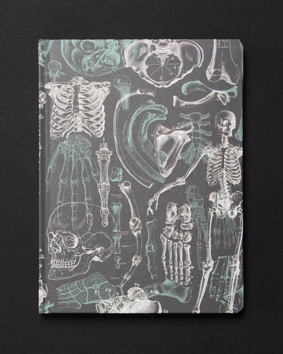 Skeleton Dark Matter Notebook – Cognitive Surplus