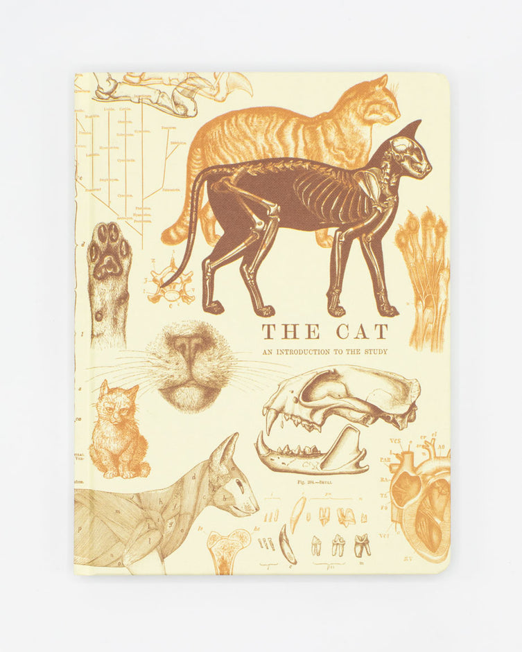 Veterinarian Notebook - Feline Cat Hardcover | Vet Journal – Cognitive ...