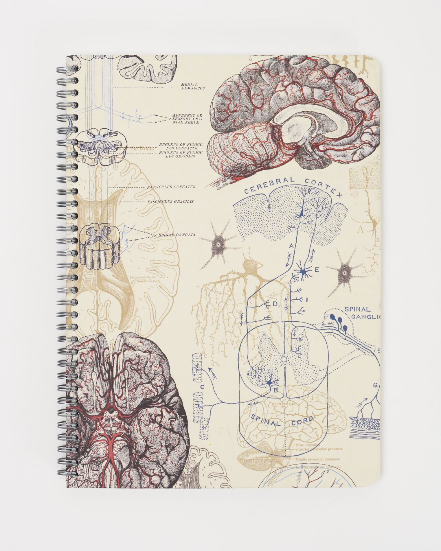 The Helix Spiral-Bound Notebooks | Cognitive Surplus