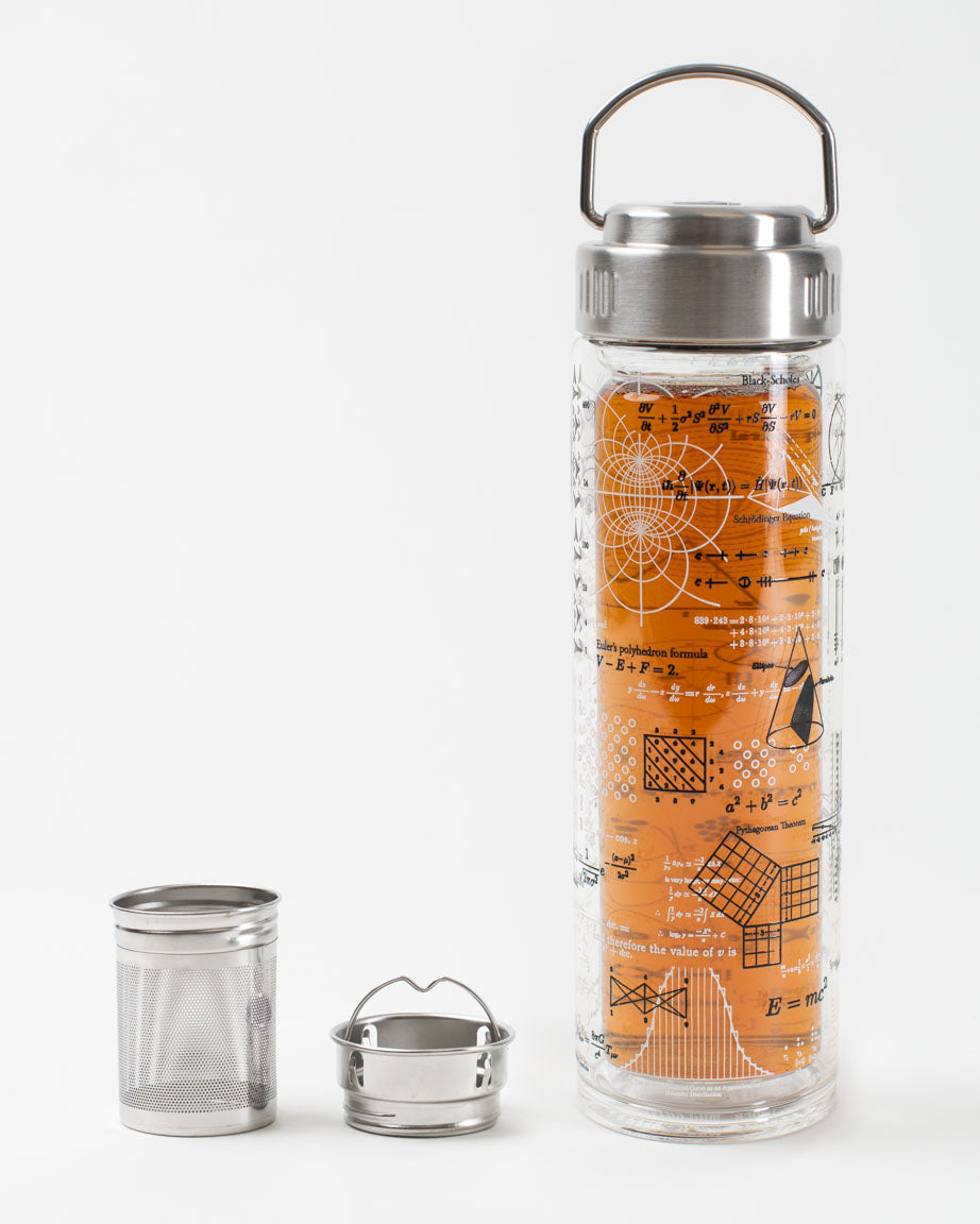 Equations That Changed the World Tea Infuser - Math | Cognitive Surplus