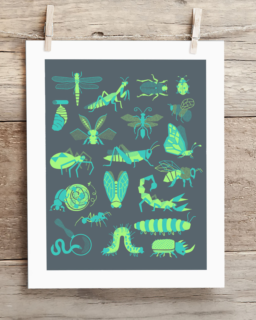 Retro Insects Museum Print – Cognitive Surplus
