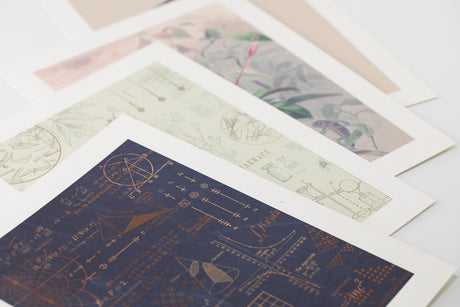 Brain Anatomy Museum Print | Medical Student Gift – Cognitive Surplus