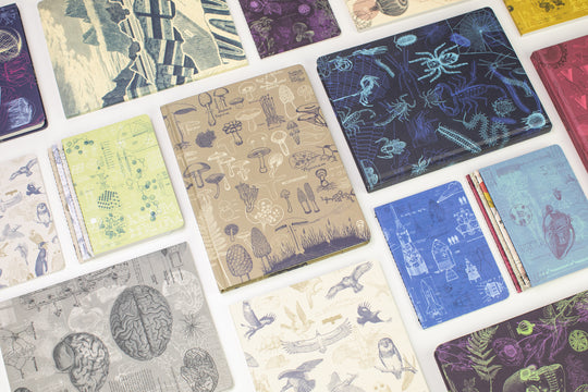 Collections – Cognitive Surplus