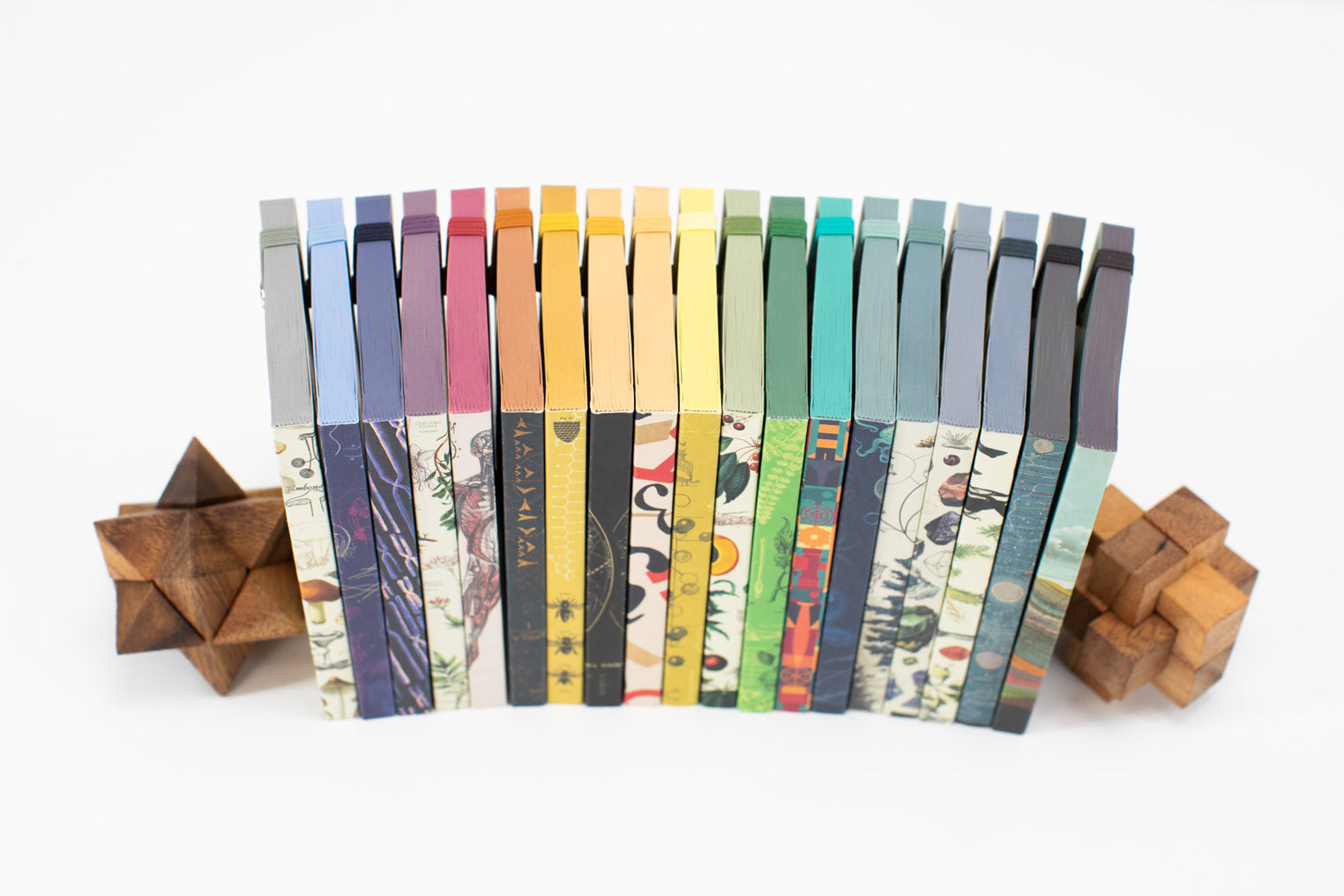 Observation Mystery Notebook 6-pack – Cognitive Surplus