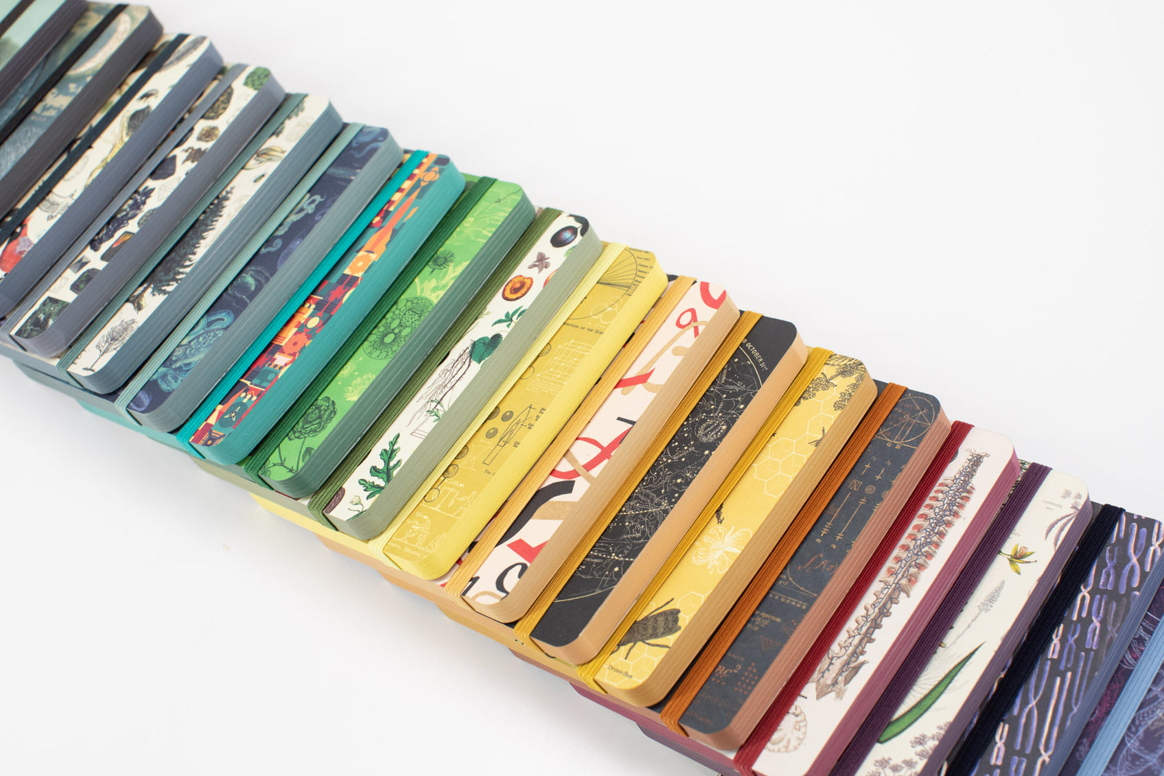 Observation Mystery Notebook 6-pack – Cognitive Surplus