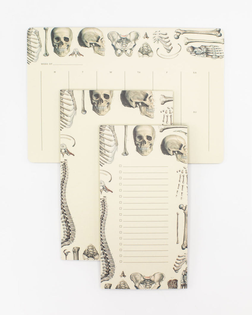 Skeleton Notepads - Vintage Medicine Pad | Cognitive Surplus