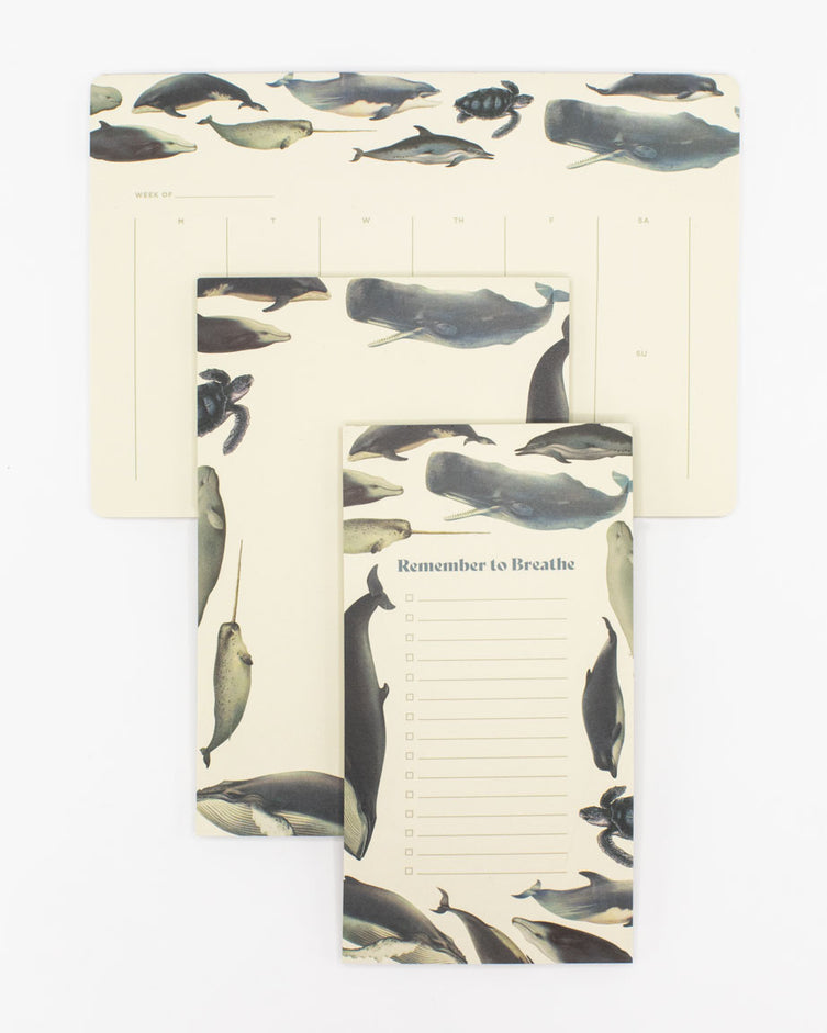 Whale Notepads - Ocean Market Pad | Cognitive Surplus