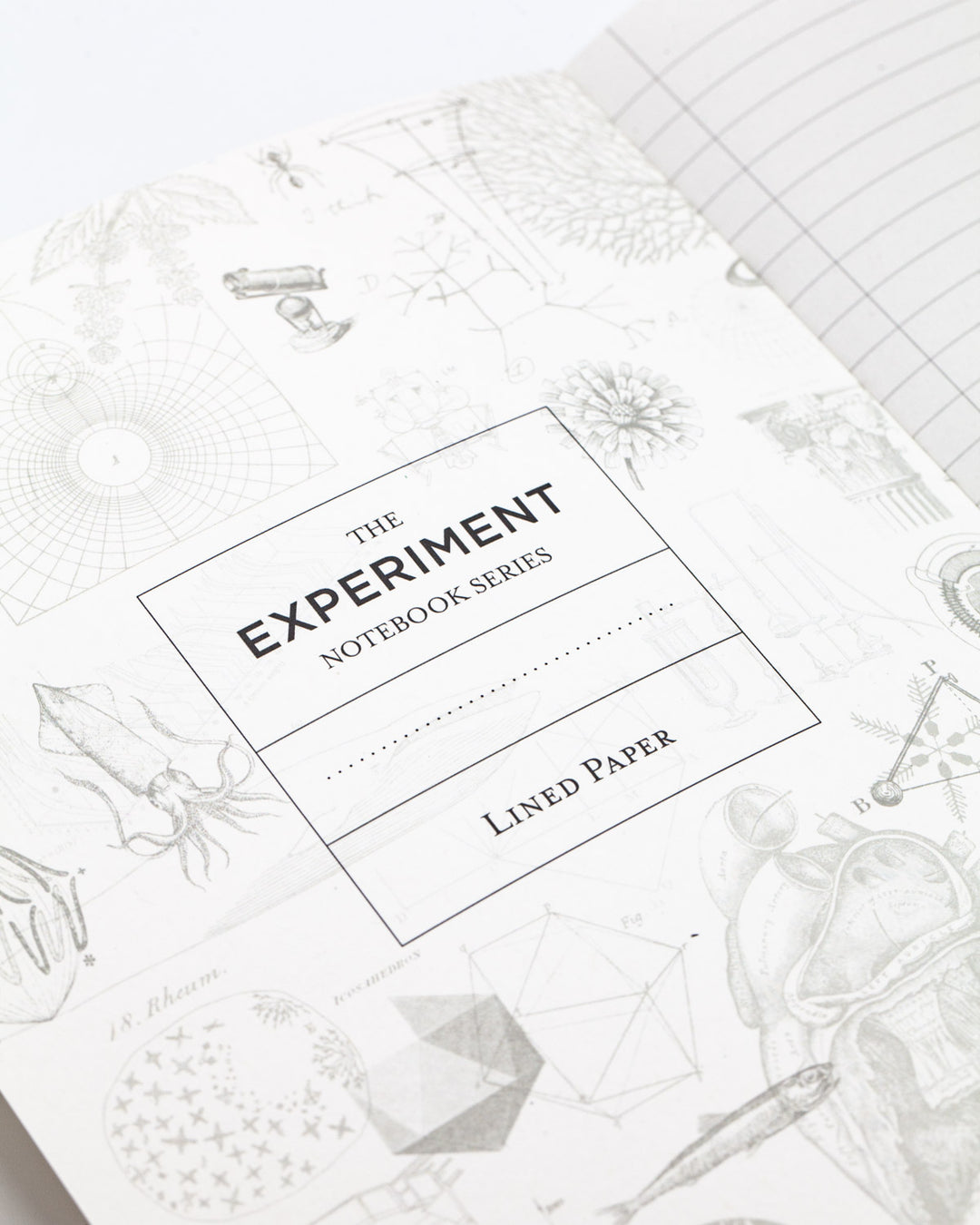 Softcover Science Notebooks - The Experiment | Cognitive Surplus