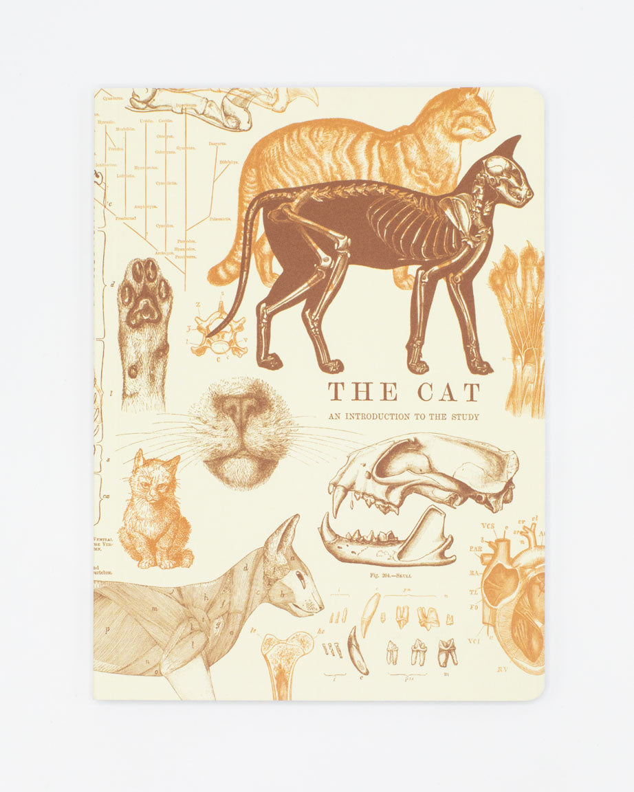 Veterinary Science: Cats Softcover Notebook | Cognitive Surplus