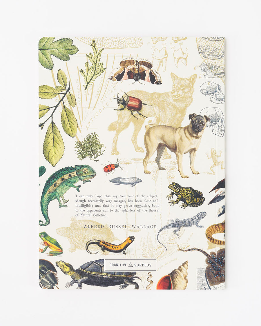 Softcover Science Notebooks - The Experiment | Cognitive Surplus