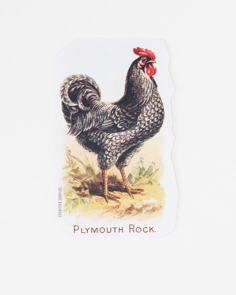 Chicken Sticker – Cognitive Surplus