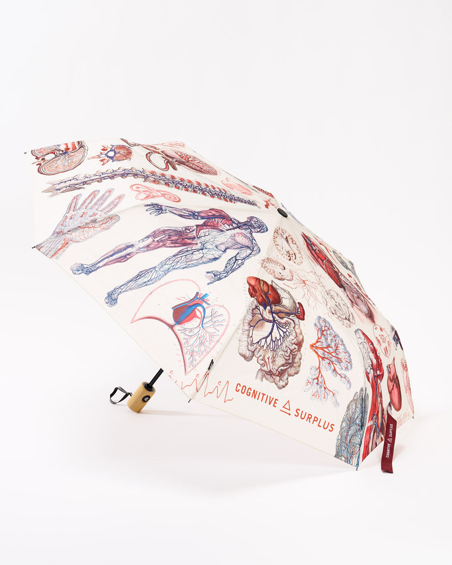 Anatomy Umbrella – Cognitive Surplus