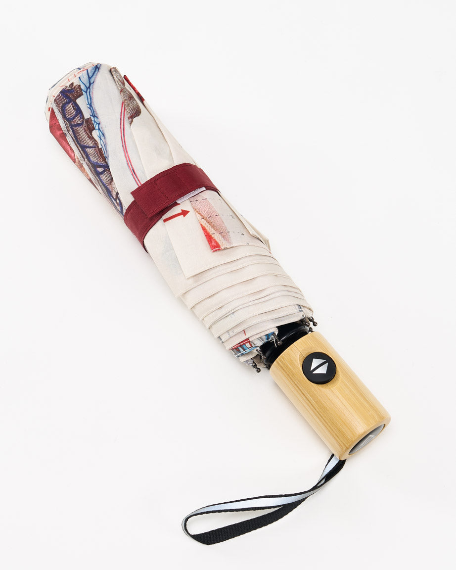 Anatomy Umbrella – Cognitive Surplus