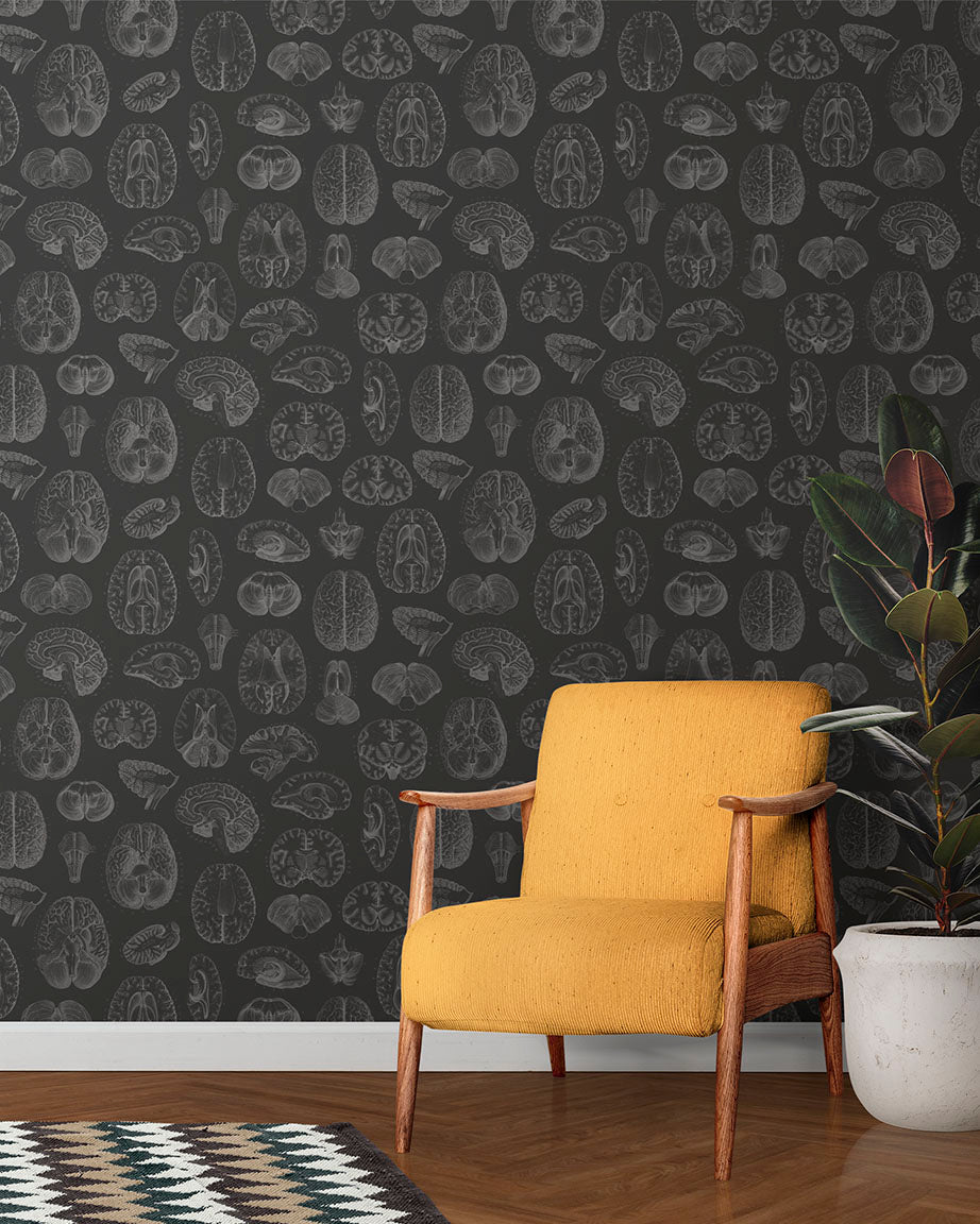 Brain Wallpaper – Cognitive Surplus