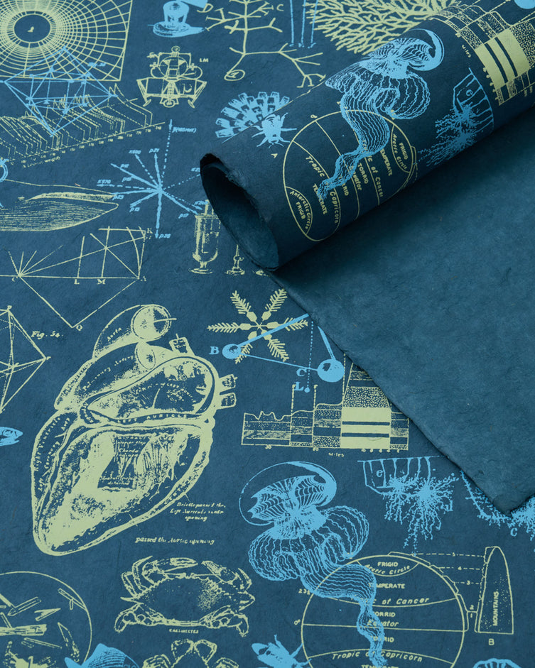 Interdisciplinary Science Wrapping Paper – Cognitive Surplus