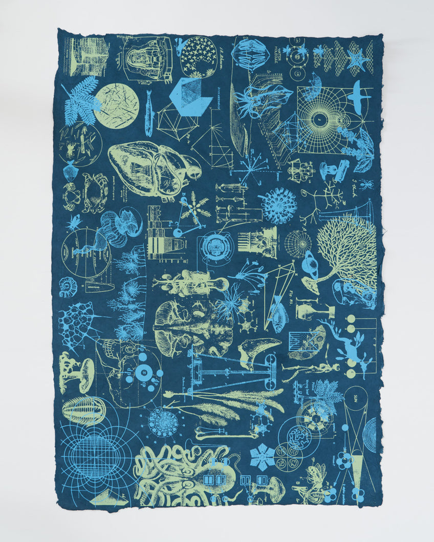 Interdisciplinary Science Wrapping Paper – Cognitive Surplus