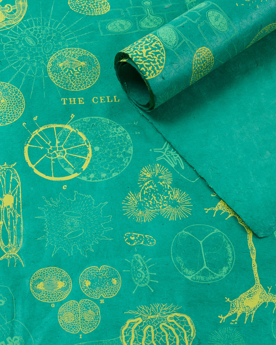 Cell Biology Wrapping Paper – Cognitive Surplus