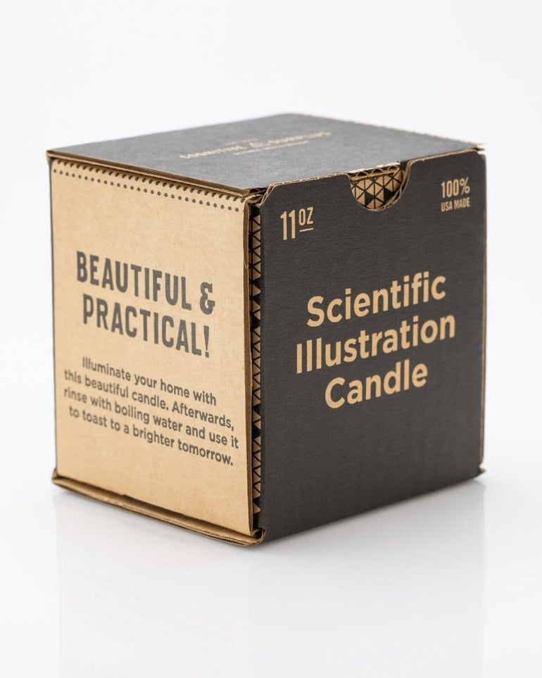 Scientific Illustration Candles - Science Candles | Cognitive Surplus