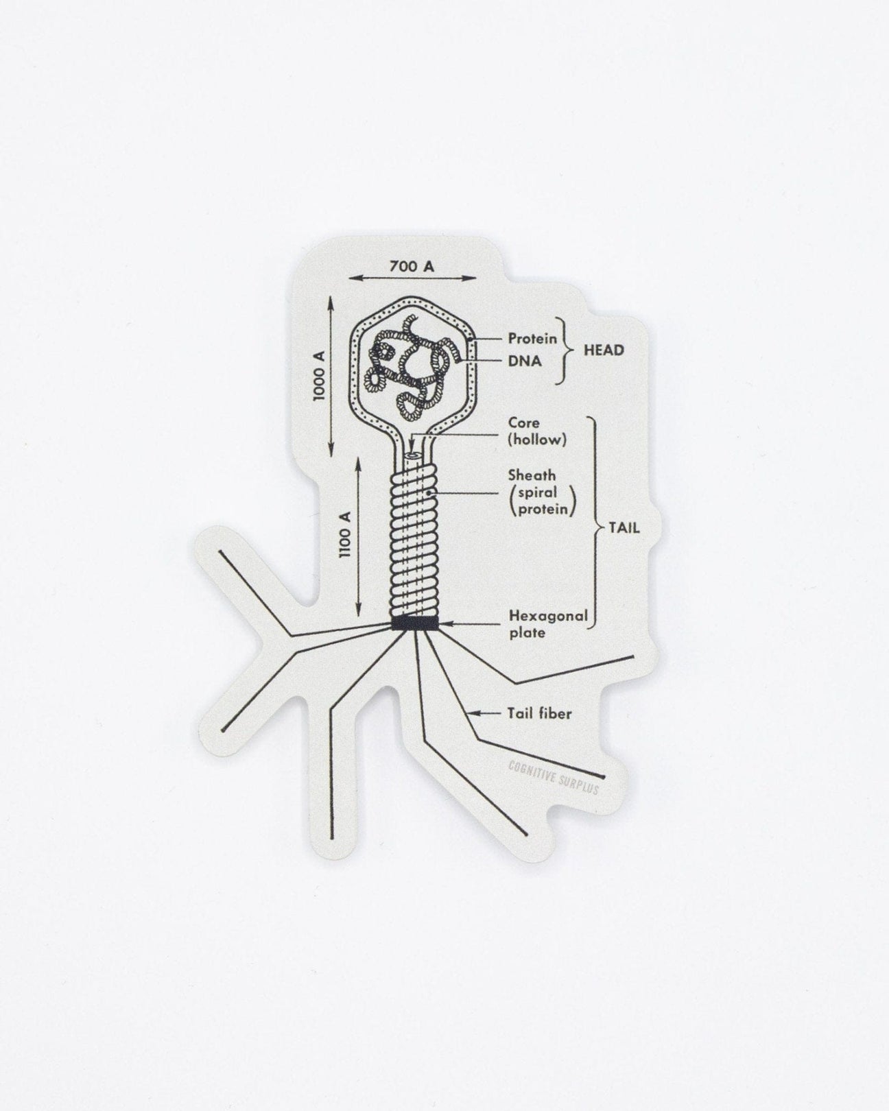 Microbiology Gifts - Bacteriophage | Cognitive Surplus