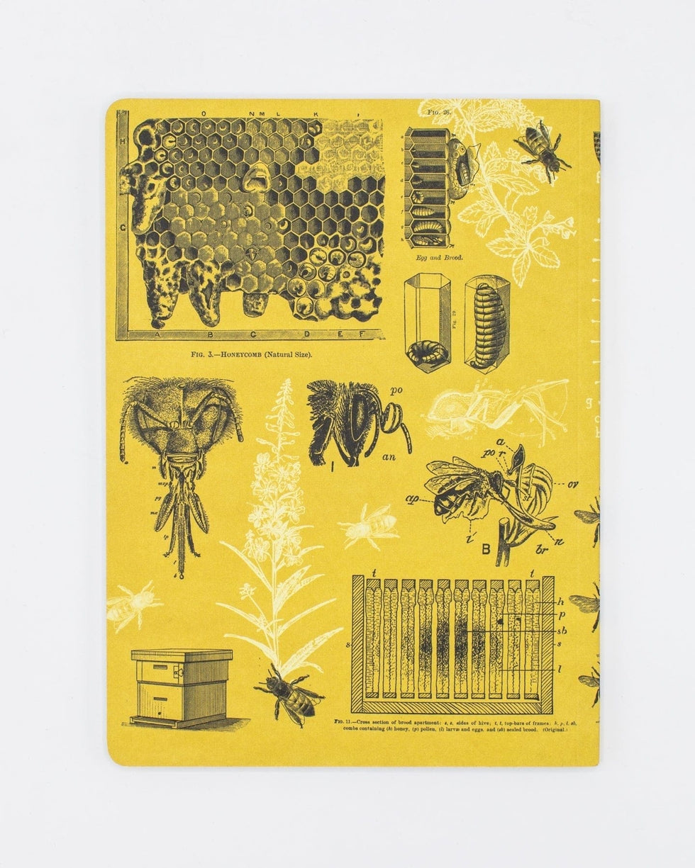 Bee Journal | Insect Print, Honey Bee Softcover Notebook – Cognitive ...